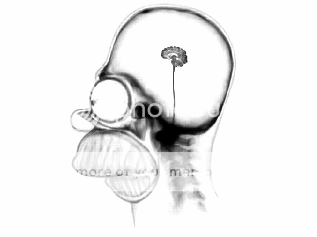 homer-simpson-wallpaper-brain-1024-.jpg Photo by tigersafreak | Photobucket